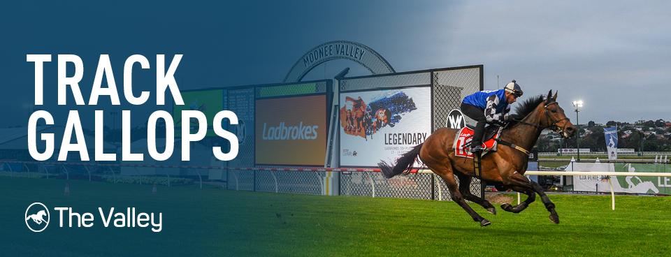 mvrc_sliders_track-gallops